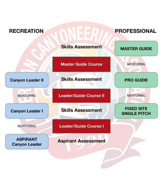 ACA Programs – ACA