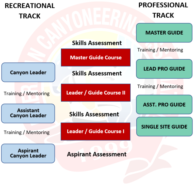 ACA Certification Programs – ACA